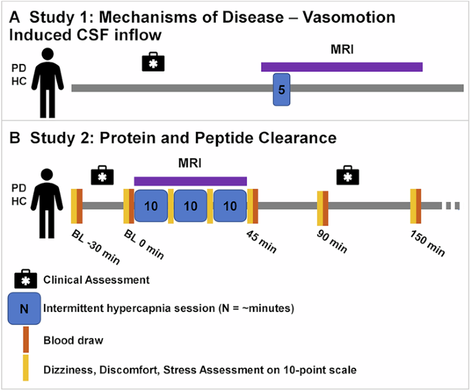 The influence of intermittent hypercapnia on cerebrospinal fluid flow ...