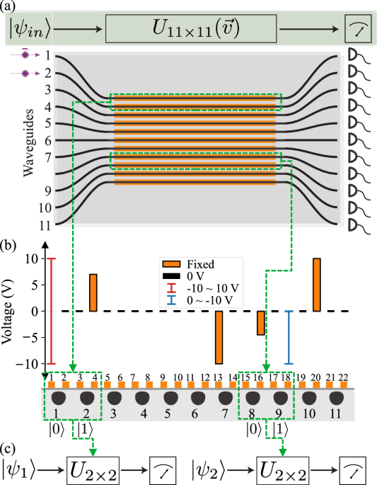 Programmable quantum circuits in a large-scale photonic waveguide array | npj Quantum Information