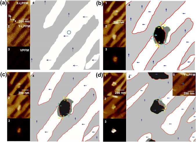 Rewritable ferroelectric vortex pairs in BiFeO 3 | npj Quantum Materials