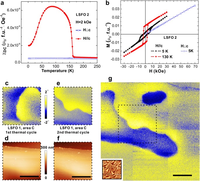 Vortex ferroelectric domains, large-loop weak ferromagnetic domains ...