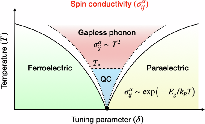 Phonon-mediated spin transport in quantum paraelectric metals | npj ...