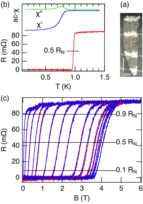 Anomalous upper critical field in the quasicrystal superconductor Ta1 ...