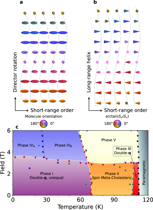 Reentrant multiple-q magnetic order and a “spin meta-cholesteric” phase ...