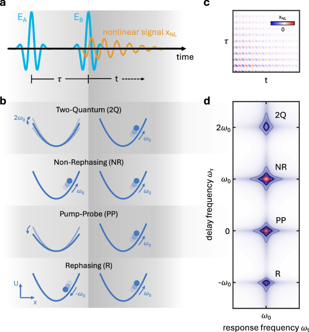 Multidimensional terahertz probes of quantum materials | npj Quantum ...