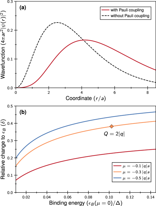 Massive Dirac-Pauli physics in lead-halide perovskites | npj Quantum ...