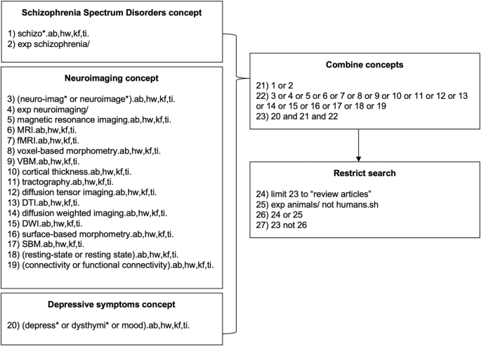 A systematic review of structural and functional magnetic resonance imaging studies on the ...