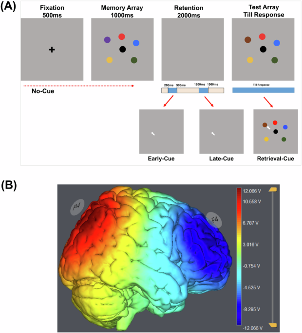 Enhancing visual working memory in schizophrenia: effects of frontoparietal theta tACS in low ...