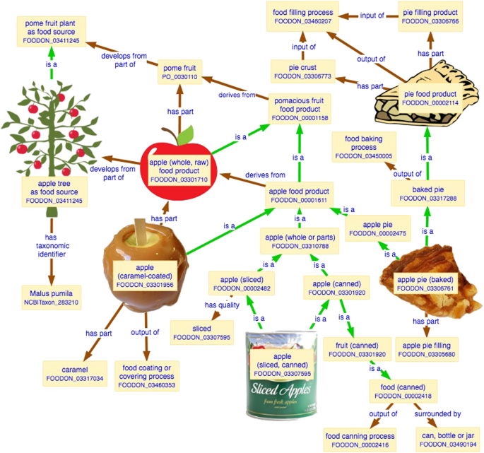 FoodOn: a harmonized food ontology to increase global food traceability ...
