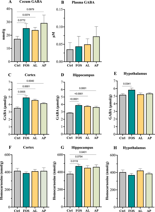 Fructooligosaccharides and Aspergillus enzymes increase brain GABA and ...