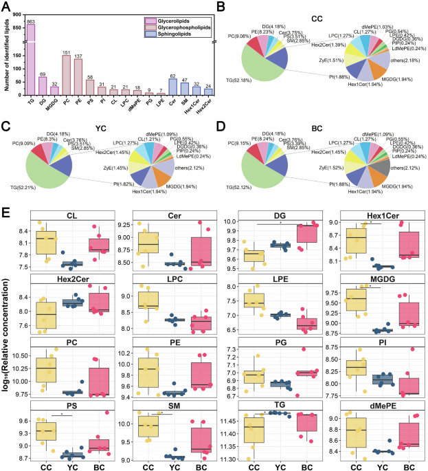 Composition and structural characteristics of lipids in yak, buffalo ...