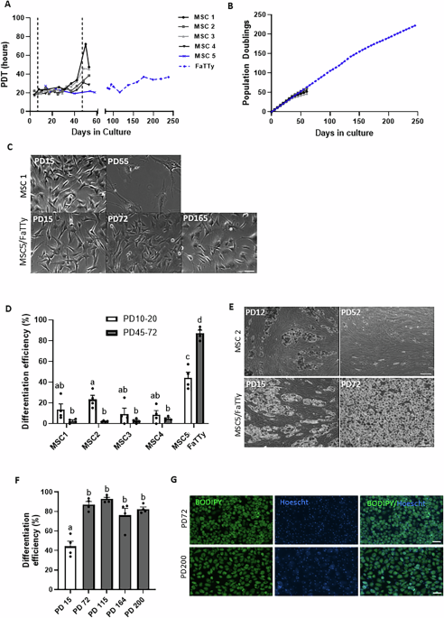 A unique spontaneously immortalised cell line from pig with enhanced ...