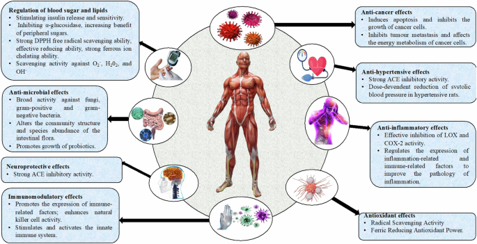 Potential health benefits of insect bioactive metabolites and consumer ...