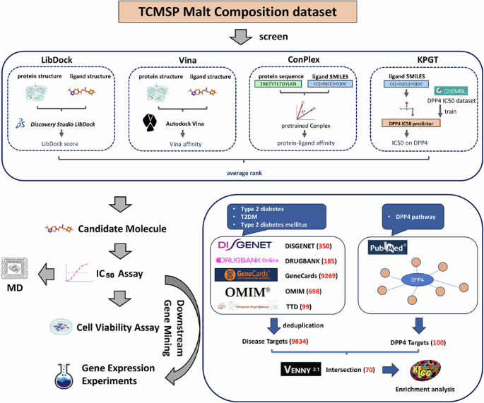 Screening and analysis of malt pentapeptide DPP-IV inhibitory activity ...