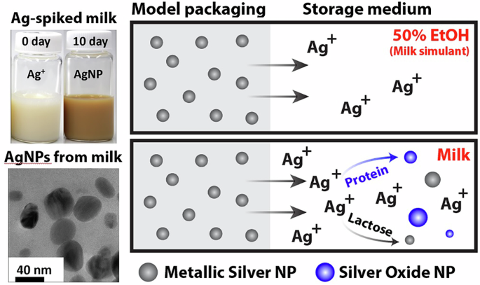 Milk proteins and fat influence Ag migration from model dairy packaging ...