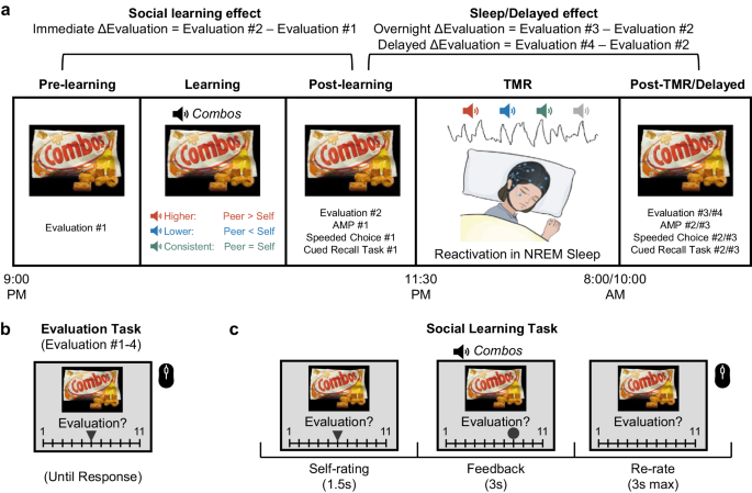 Modulating social learning-induced evaluation updating during human ...
