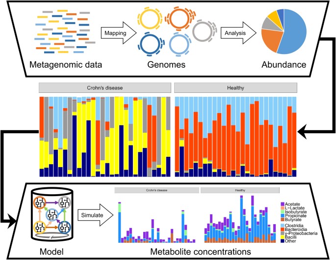 From Metagenomic Data To Personalized In Silico Microbiotas Predicting