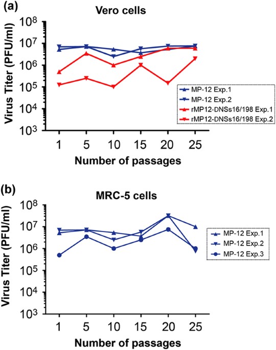 Genetic stability of Rift Valley fever virus MP-12 vaccine during ...
