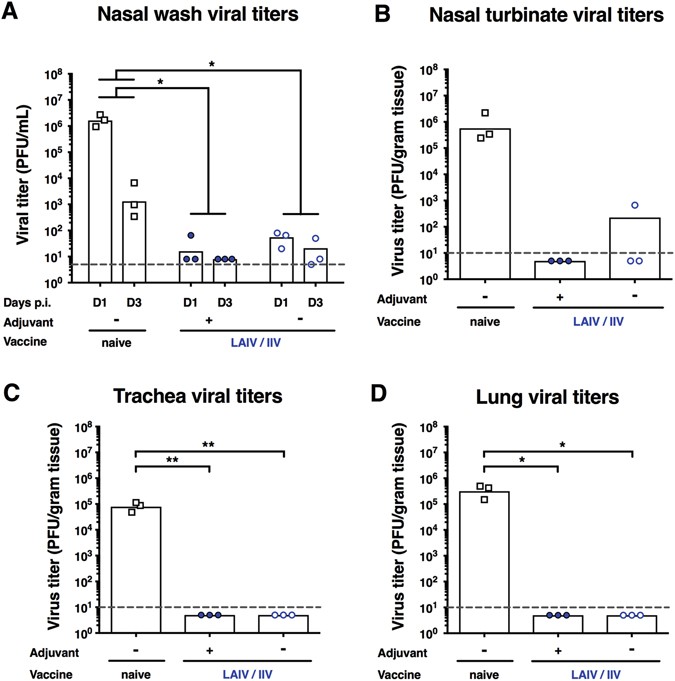 A universal influenza virus vaccine candidate confers protection ...