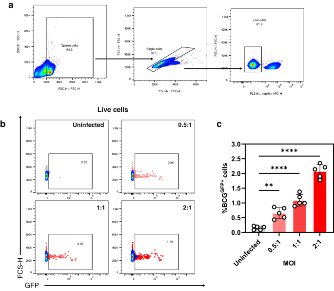 A modified mycobacterial growth inhibition assay for the functional ...