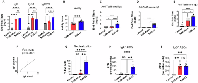 Enhanced immunogenicity of a Clostridioides difficile TcdB vaccine ...