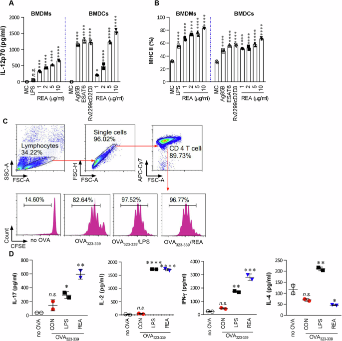 Novel fusion protein REA induces robust prime protection against ...