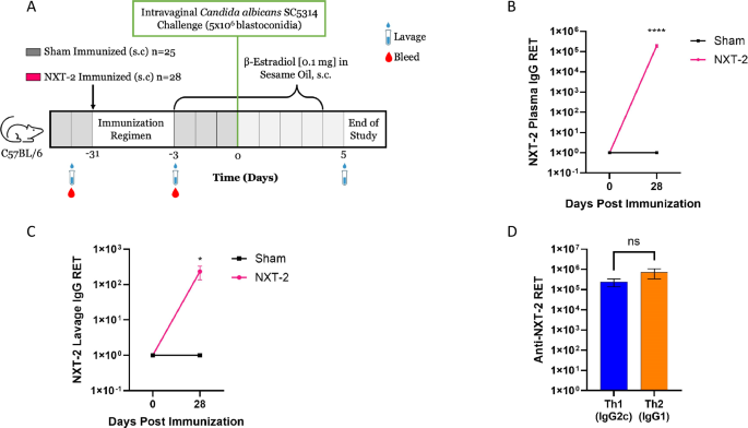 Protective efficacy of the pan-fungal vaccine NXT-2 against vulvovaginal candidiasis in a murine ...
