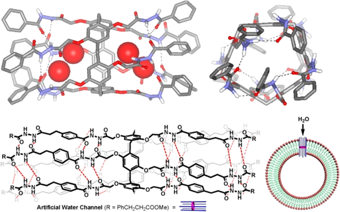 Artificial water channels—deconvolution of natural Aquaporins through ...