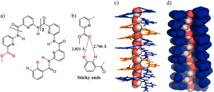 Artificial water channels—deconvolution of natural Aquaporins through ...