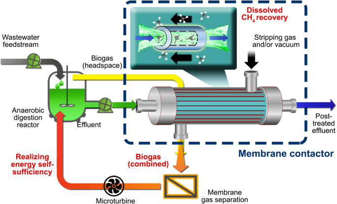 Membrane-based technologies for post-treatment of anaerobic effluents ...