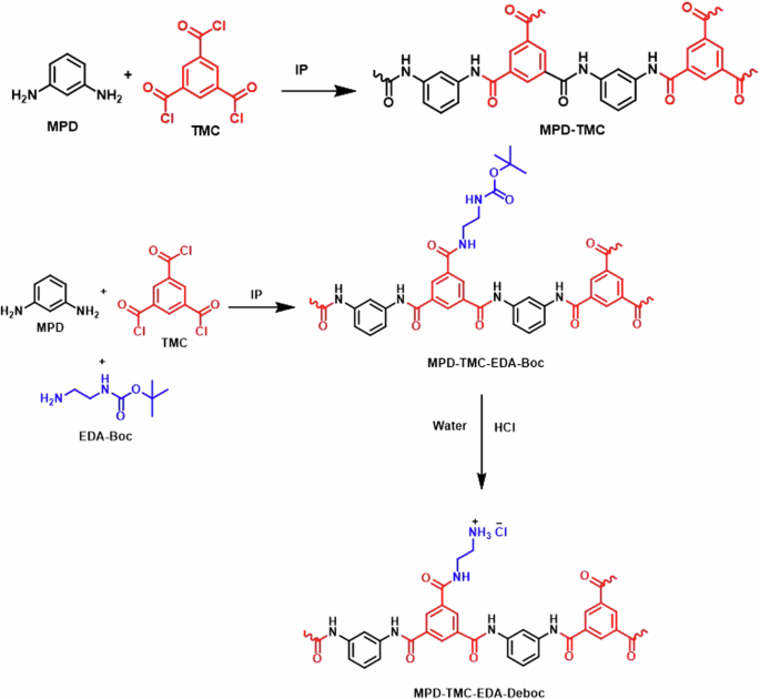 Tuning polyamide membrane chemistry for enhanced desalination using Boc ...