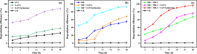 S-ZVI@biochar constructs a directed electron transfer channel between ...
