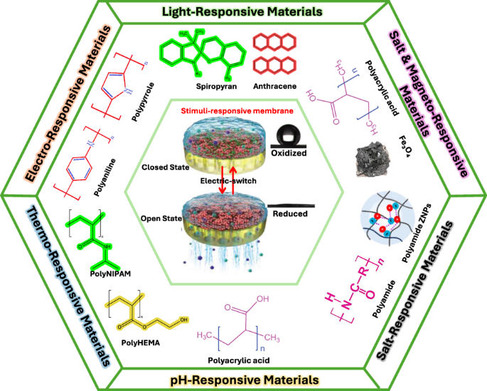 Stimuli-responsive membranes—mechanisms, materials and future ...