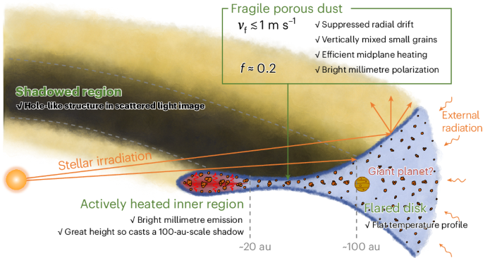 Support for fragile porous dust in a gravitationally self-regulated ...