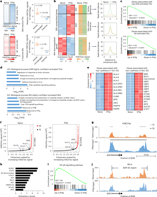 Downregulating human leucocyte antigens on mesenchymal stromal cells by ...