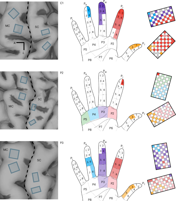 Evoking stable and precise tactile sensations via multi-electrode ...