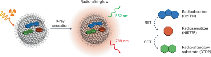 Nanoprobes for X-ray-mediated theranostics | Nature Biomedical Engineering