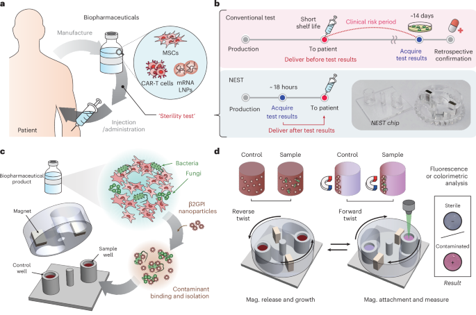 One-day rapid sterility test for human-derived biopharmaceuticals ...