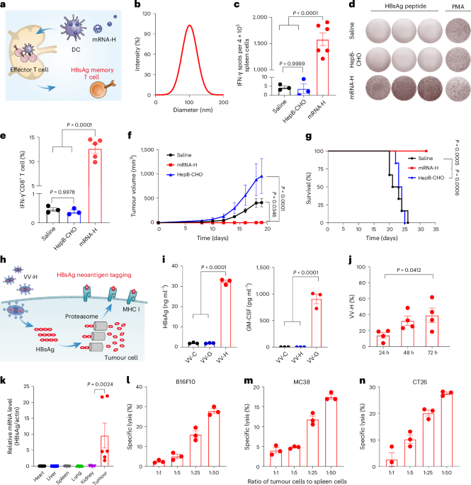 HBsAg-tagged tumour vaccine system eliminates solid tumours through ...