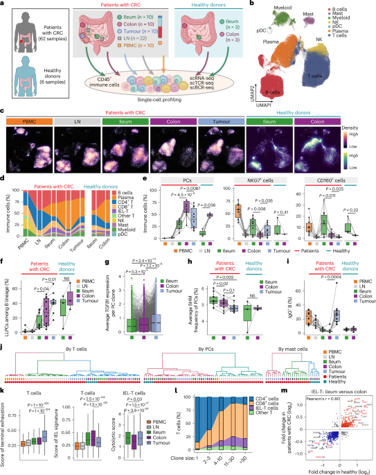 CD160 dictates anti-PD-1 immunotherapy resistance by regulating CD8+ T ...
