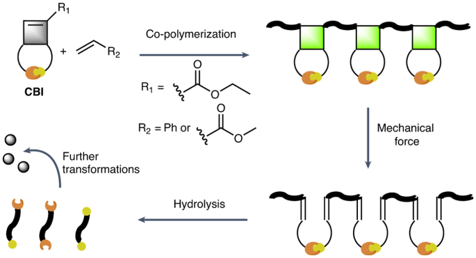 Mechanically triggered on-demand degradation of polymers synthesized by ...
