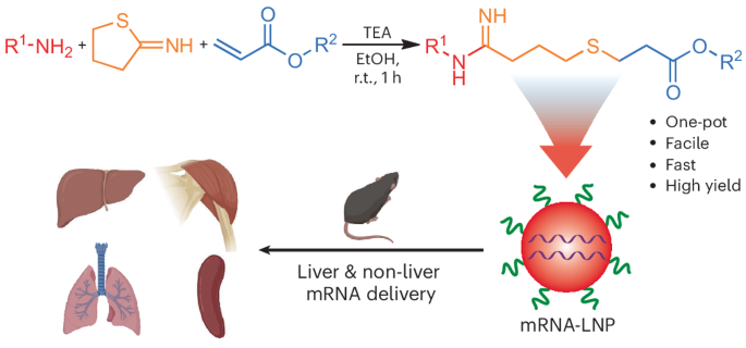 Fast and facile synthesis of amidine-incorporated degradable lipids for ...