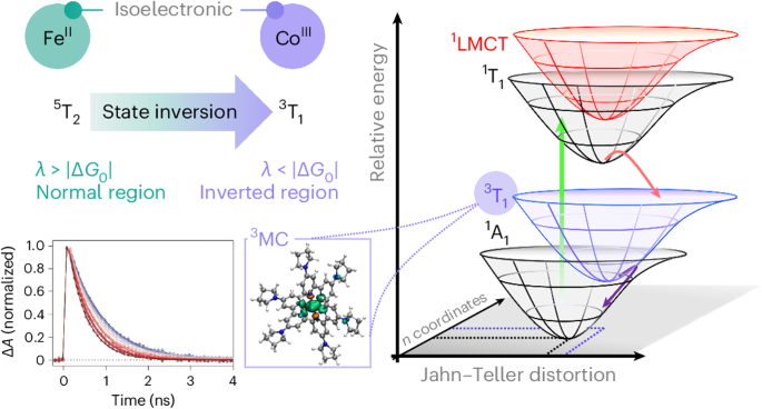 Establishing the origin of Marcus-inverted-region behaviour in the ...