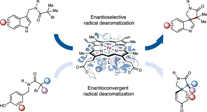 A metalloenzyme platform for catalytic asymmetric radical ...