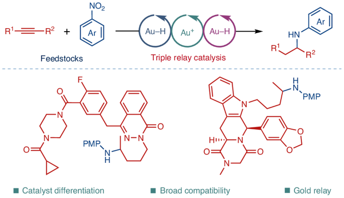 Gold-catalysed amine synthesis by reductive hydroamination of alkynes ...
