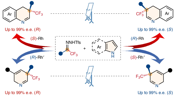 Asymmetric dearomative single-atom skeletal editing of indoles and ...
