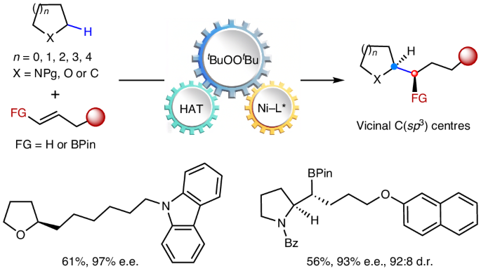 Direct stereoselective C(sp3)–H alkylation of saturated heterocycles ...