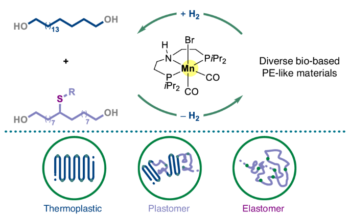 Catalytic closed-loop recycling of polyethylene-like materials produced ...