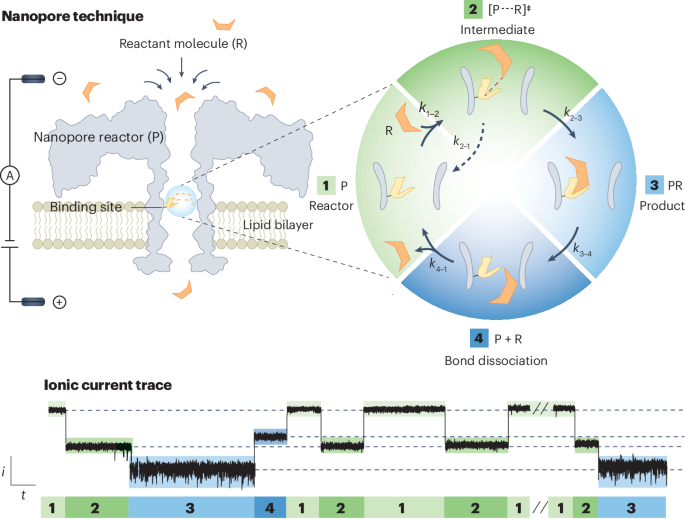 Understanding single-molecule reactions using nanopore-based techniques ...
