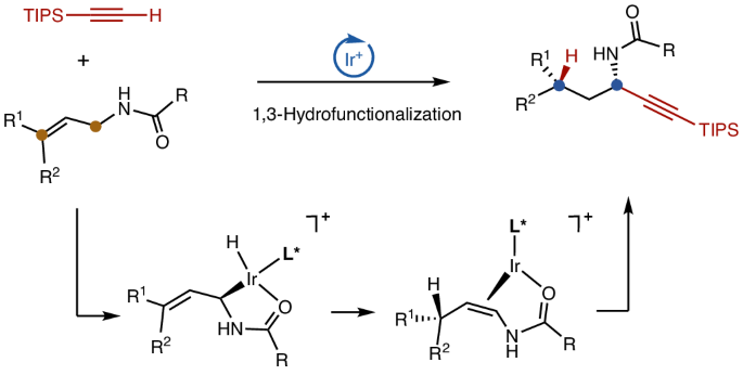 Diastereo- and enantioselective 1,3-hydrofunctionalization of ...