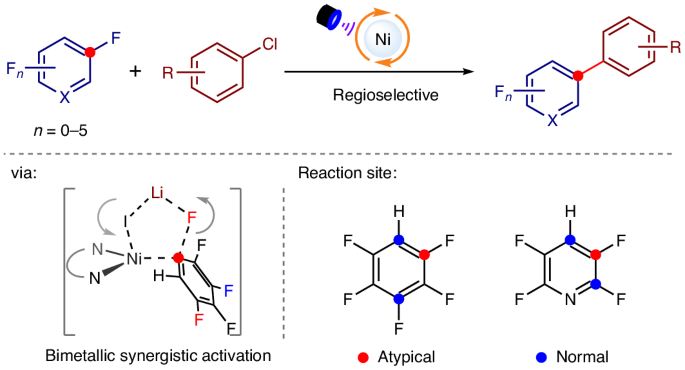 Selective arylation of atypical C–F bonds in polyfluoroarenes with aryl chlorides | Nature Chemistry